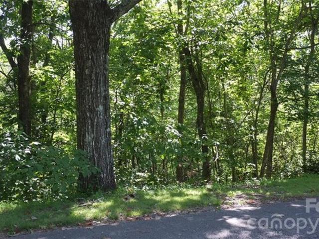 11 and 21 Sunset Ridge Dr Units 21 & 11, Columbus, NC 28722