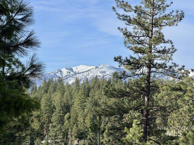 11 Augustus Way, Cascade, ID 83611