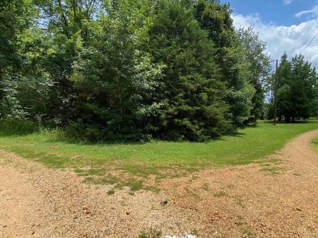 11 bald eagle dr