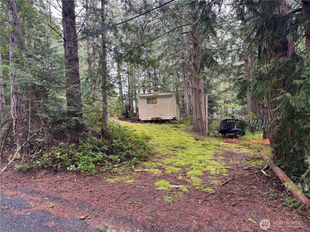 11 Bayview Ct, Brinnon, WA 98320 | MLS #2495