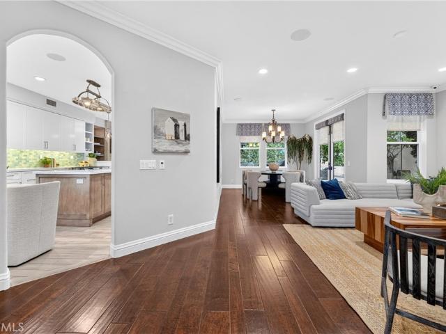 11 Bellevue