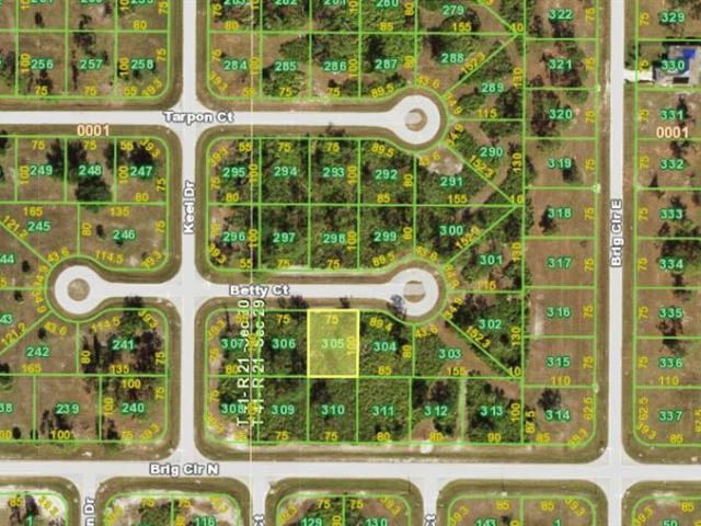 11 Betty Ct, Placida, FL 33946 | MLS #TB8466 | Compass