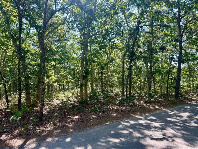11 Boylston Dr, Edgartown, MA 02539 | MLS #43265 | Compass