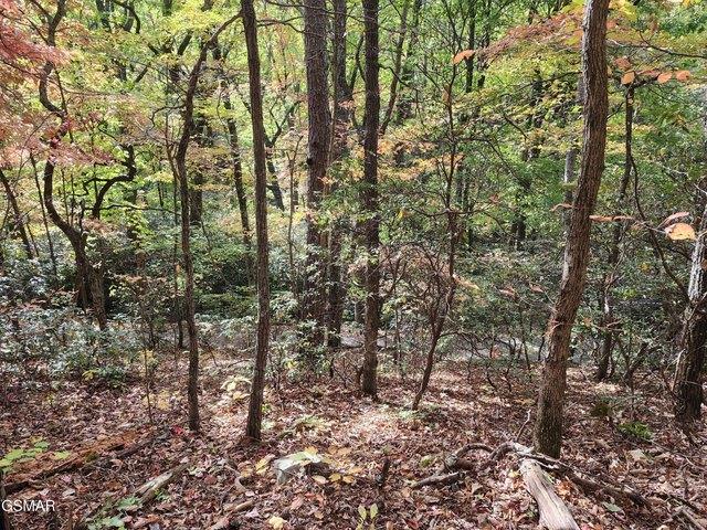 11 Bluff Mtn Rd, Sevierville, TN 37876