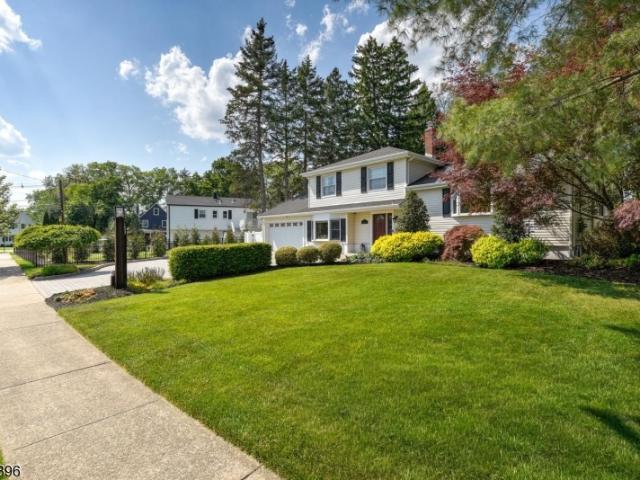 11 Carlisle Rd