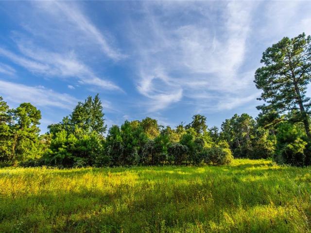 11 County Road 4222, Frankston, TX 75763 | MLS #20707