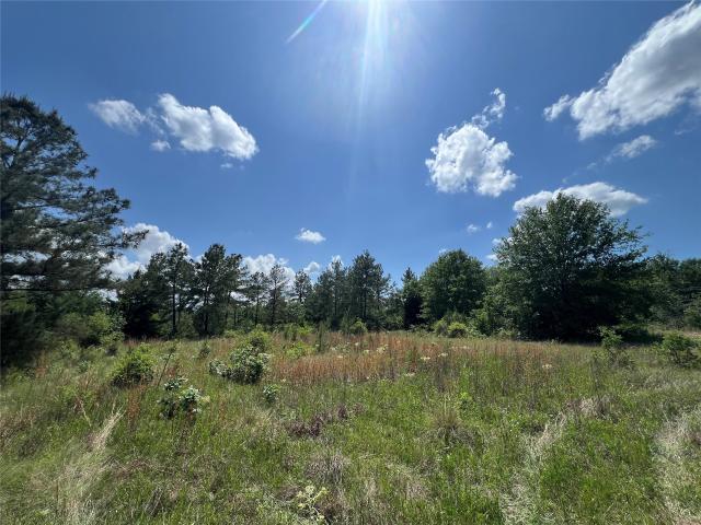 11 Cr 218 Rd, Anderson, TX 77830 | MLS #29604 | Compass