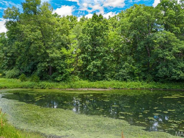 11 Dayspring, Litchfield, IL 62056 | MLS #22055