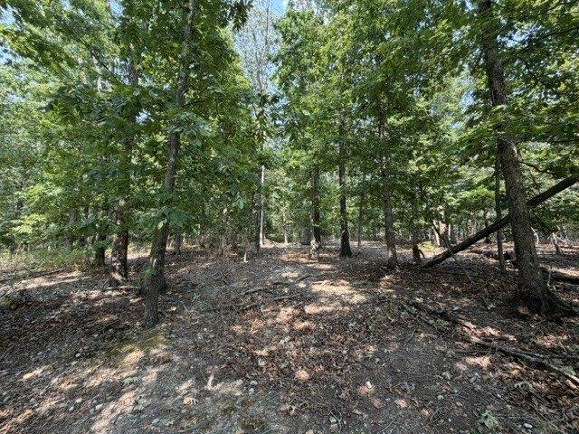 11 Dickenshire Cir Lot 11, Bella Vista, AR 72714
