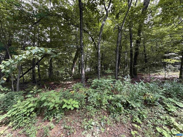 11 Fairway Oaks Ln