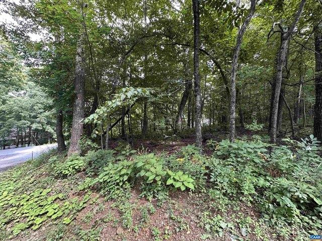 11 Fairway Oaks Ln, Wintergreen Resort, VA 22967