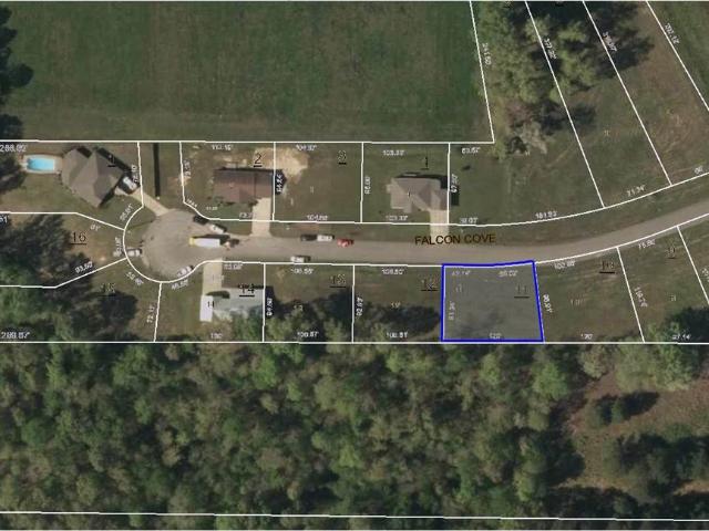 11 Falcon Cove, Middleton, TN 38052 | MLS #10200 | Compass