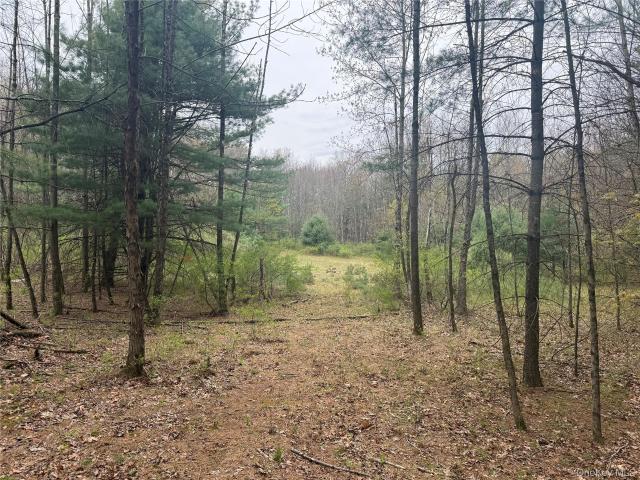 11 Forest View Drive