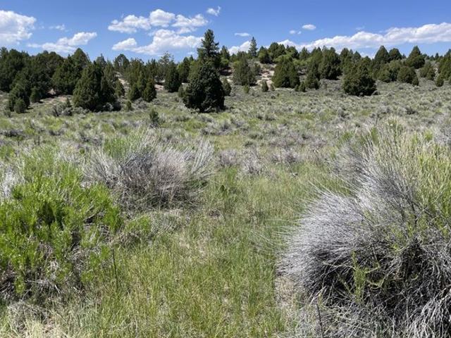 11 Goshute Way, Long Valley, UT 84710