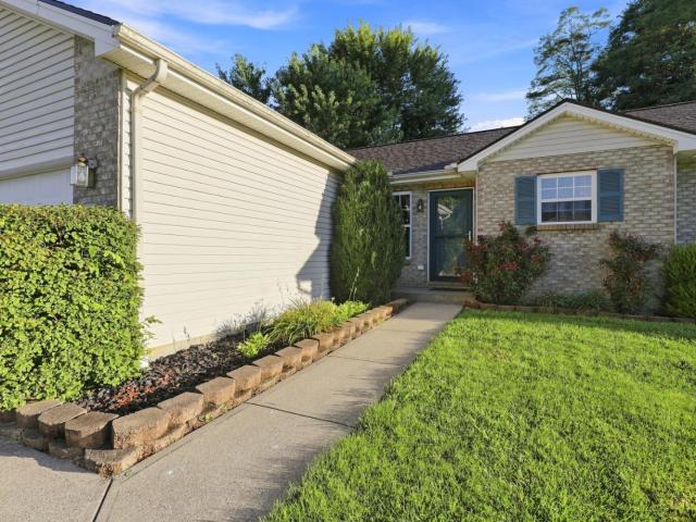 11 Grouse Drive
