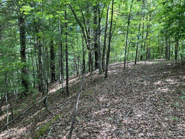 11 Green Cove Cir Lot 11, Murphy, NC 28906