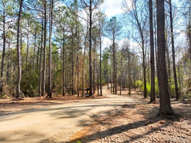 11 Highway 80, Auburn, AL 36830