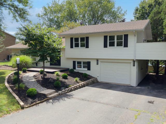 11 hillcrest drive