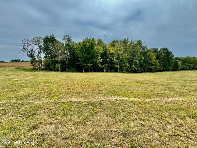 11 Hillsboro Ln