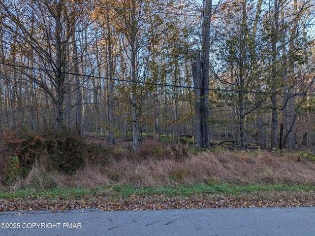 11 Ingrid Dr, Clifton Township, PA 18424