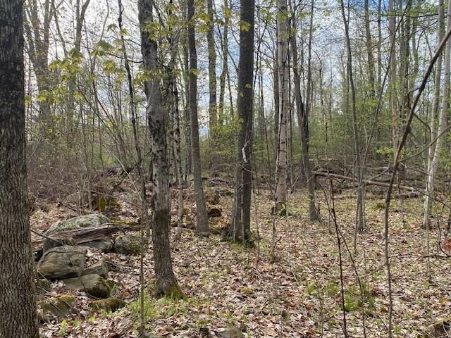 11 L New Athol Rd, Petersham, MA 01366 | MLS #73494 | Compass