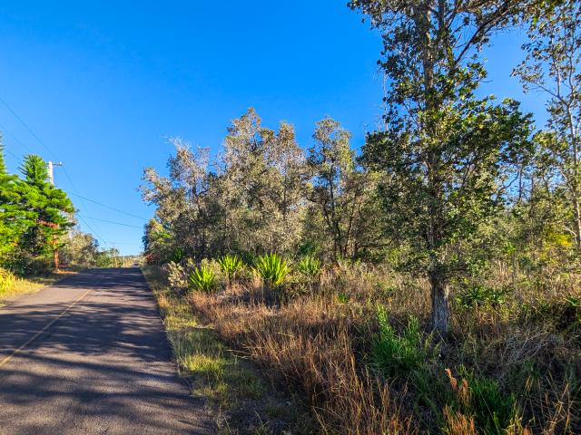 11 Leilani Pkwy, Ocean View, HI 96704 | MLS #728107