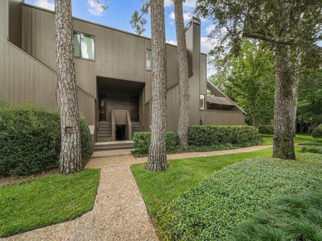 11 Litchfield Ln, Houston, TX 77024