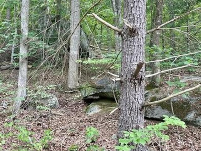 11 Lonesome Pine Rd, Murphy, NC 28906