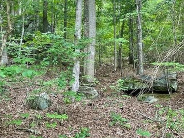11 Lonesome Pine Rd Lot 11, Murphy, NC 28906