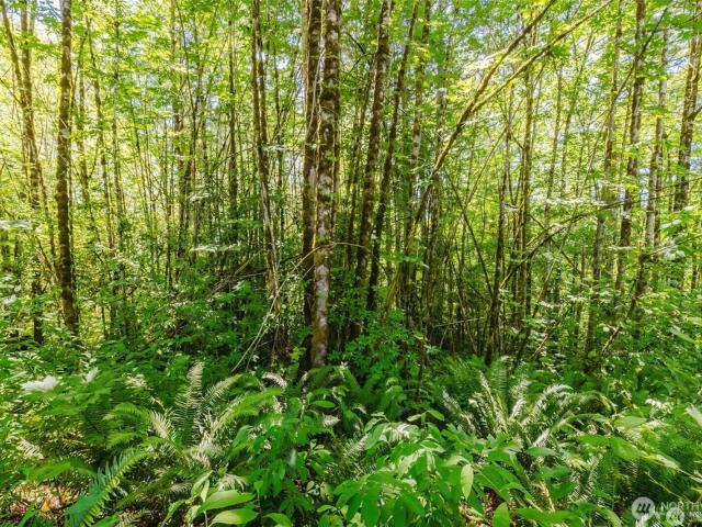 11 Lot Cassie Place NW