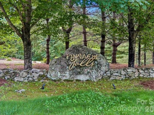 11 Magnolia Branch Dr, Zirconia, NC 28790