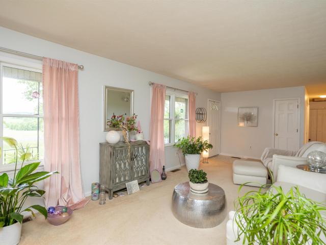 11 meadowbrook dr
