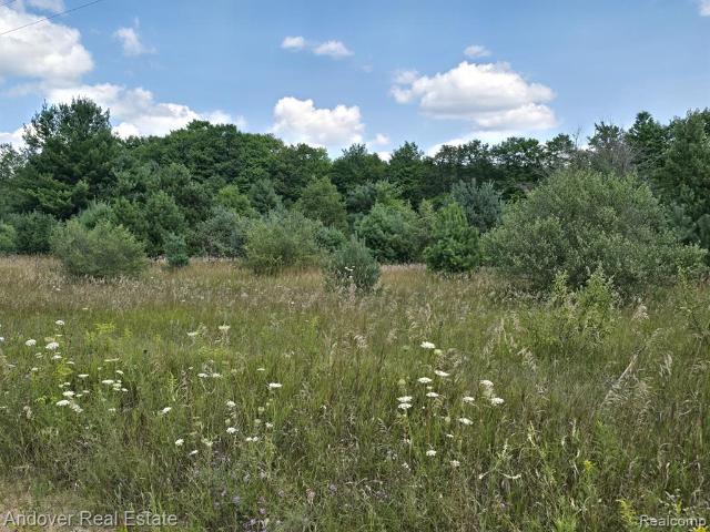 00B 11 Mile Road
