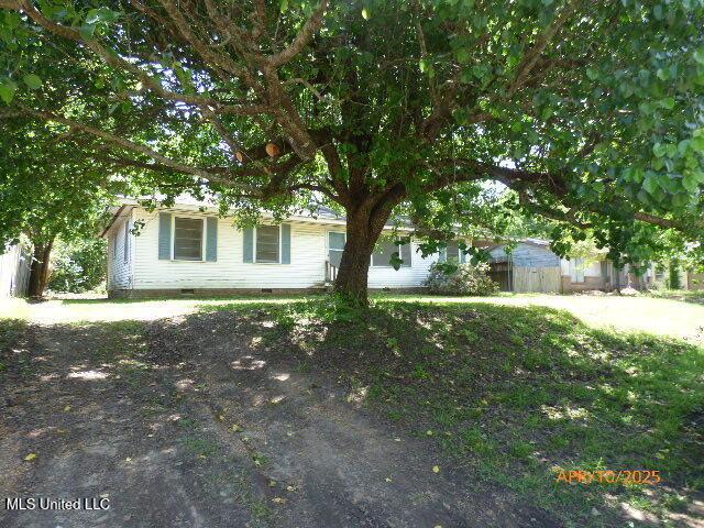 11 Myrtle Drive