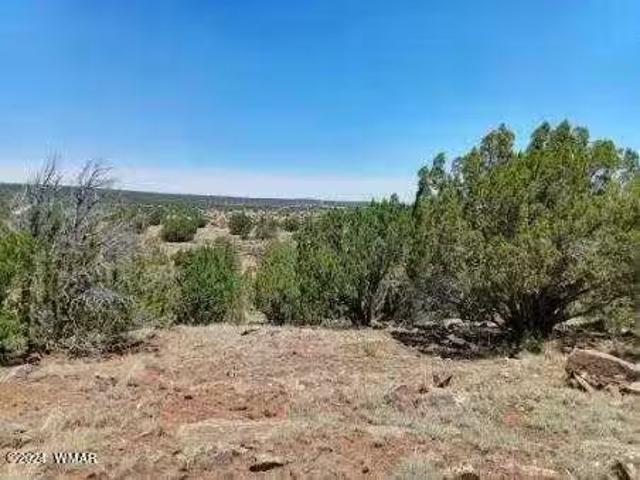 11 N 9259, Concho, AZ 85924 651903429