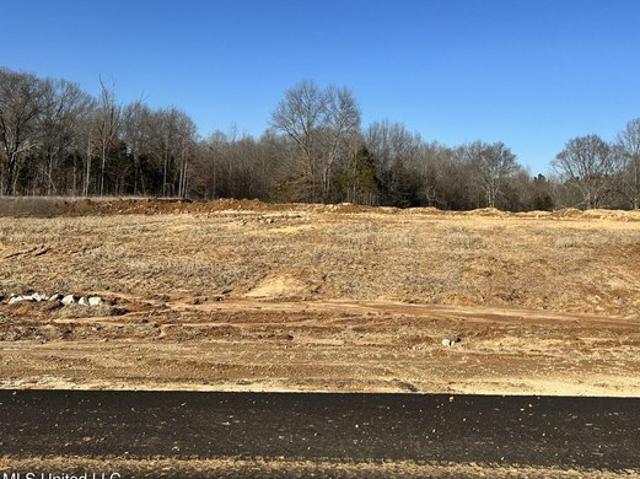 11 Pebble View Dr Lot 11, Byhalia, MS 38611