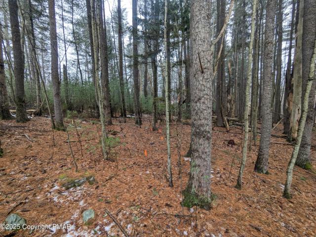 11 Pine Hill Ct, East Stroudsburg, PA 18302 | MLS #PM 122235