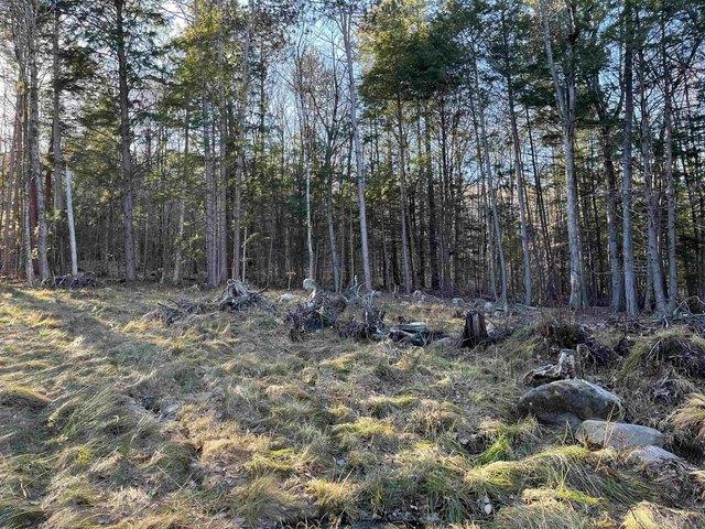 11 Raccoon Hill Lot Map 235 Rd Lot 11, Salisbury, NH 03268