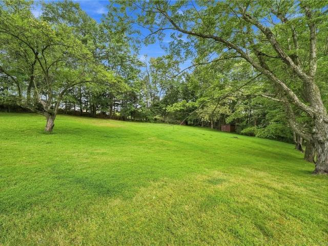 11 Reichold Rd