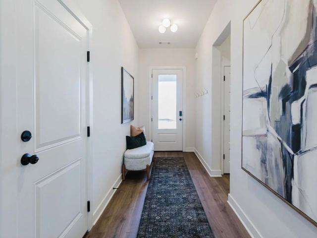 11 rose bush st