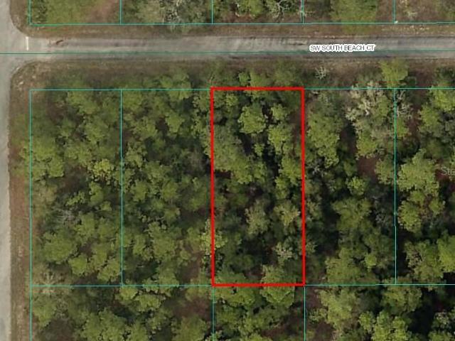 11 SW South Beach, Dunnellon, FL 34431 | MLS #OM705259