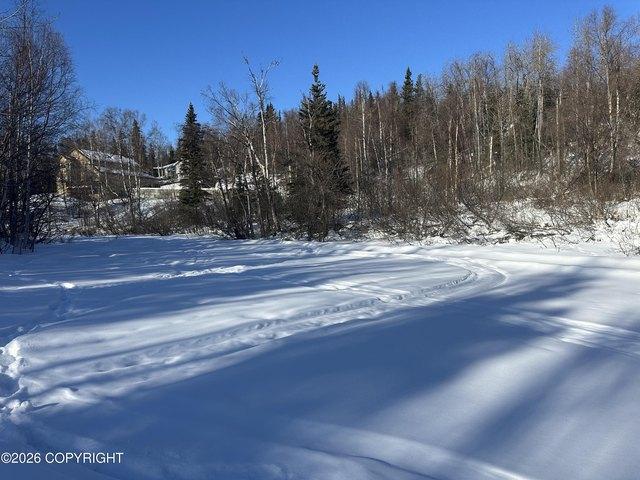 11 St, Eagle River, AK 99577