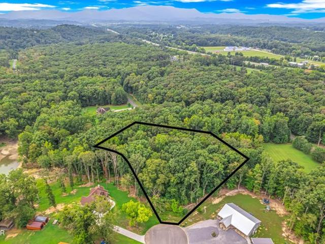 11 Stokley Ct, Dandridge, TN 37725