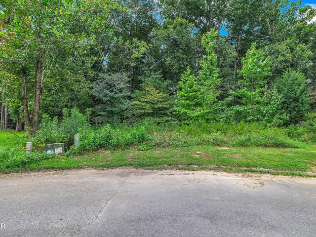 11 Stokley Court