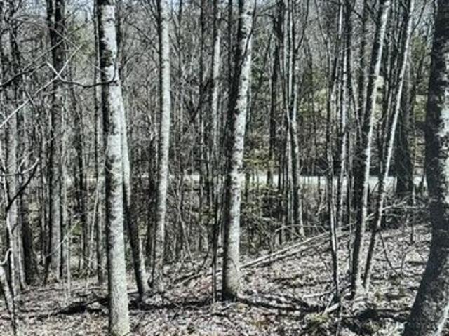 11A 11B Hidden Lakes 11B Rd Lot 11A, Topton, NC 28781