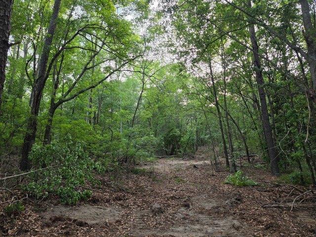 11A Bradleyville Rd, North Augusta, SC 29841