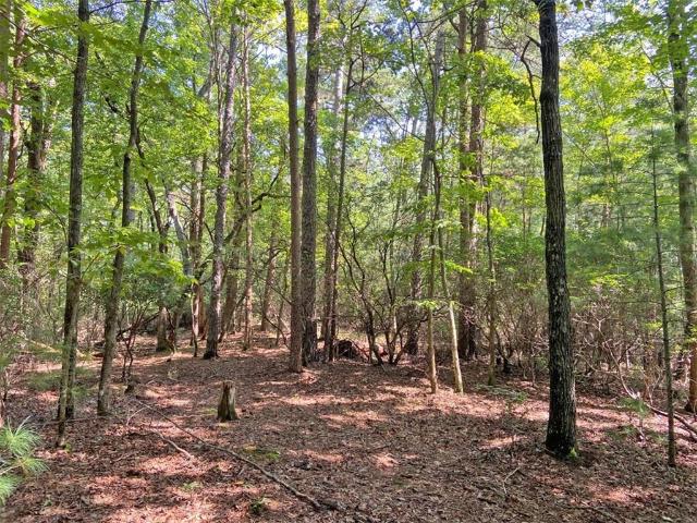 11AC T S Jarrard Road