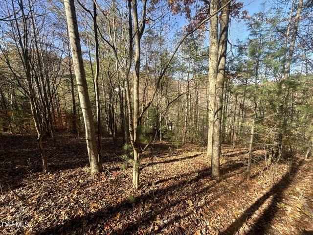 11/AC Tbd Highway 19E, Hampton, TN 37658