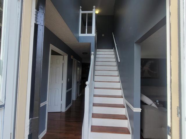 1204 Orchard Mountain Ct