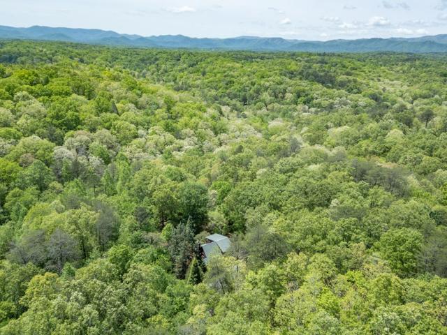 1204 Brookhaven Ln, Blue Ridge, GA 30513 | MLS #429259